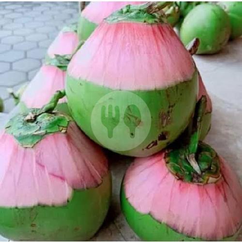 14 Tempat Makan Dogan Obat Terenak - Cari Kuliner Indonesia