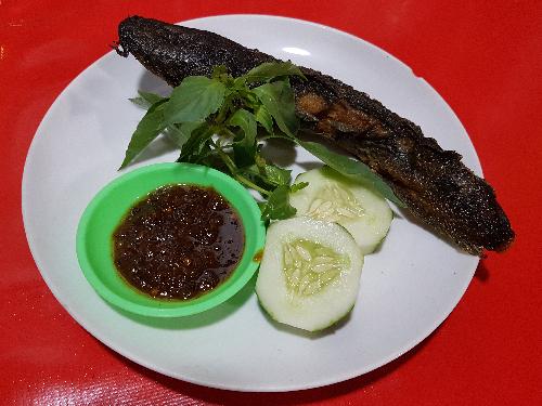 Warung Bebek Goreng & Pecel Lele Mbak Rina, Pangeran SW Subekti - GoFood