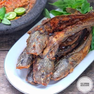 Ikan Lele Goreng LELE GORENG – Ayam Penyet President
