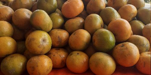 Kios Buah Jeruk Medan & Pisang Barangan Medan - GoFood