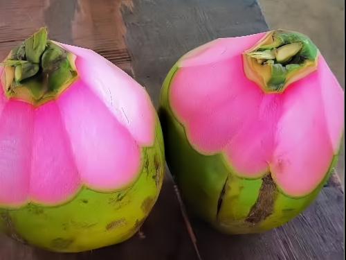 Es Kelapa Muda Dan Ijo Wani Rasa, Jl.Raya Pasir Putih Sawangan - GoFood