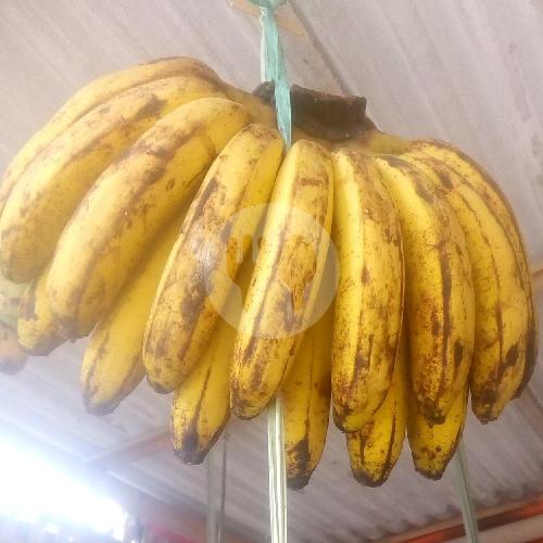 Kios Buah Jeruk Medan & Pisang Barangan Medan - GoFood